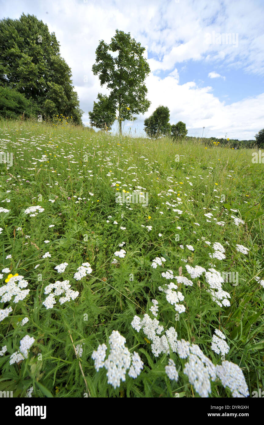 The Ostpark in Munich, 2011 Stock Photo - Alamy