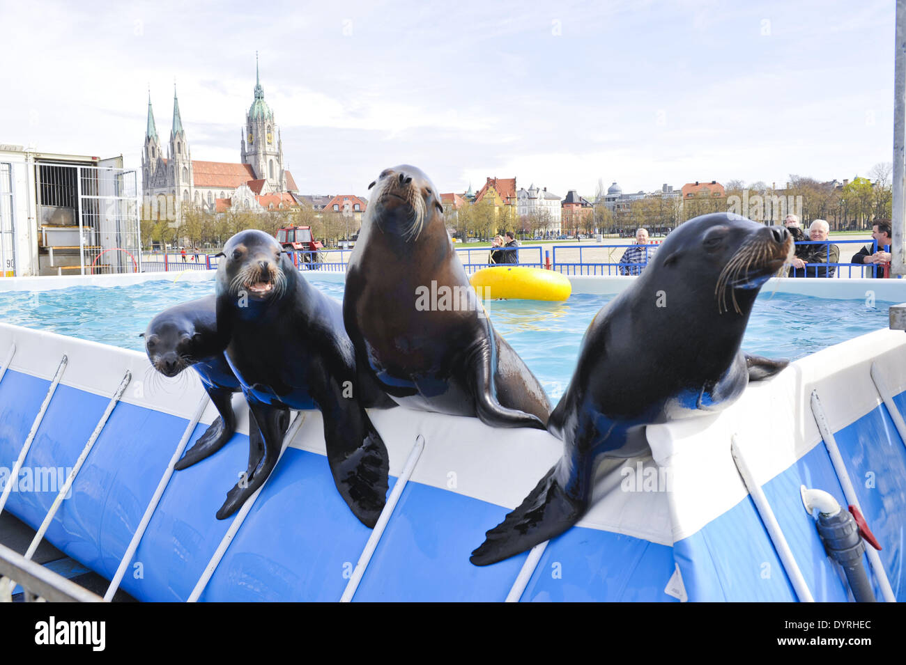 Circus krone hi-res stock photography and images - Alamy