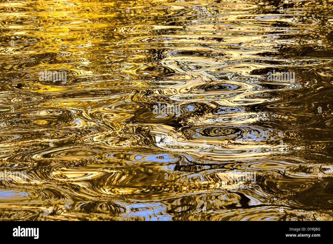 Gold water ripples hi-res stock photography and images - Alamy