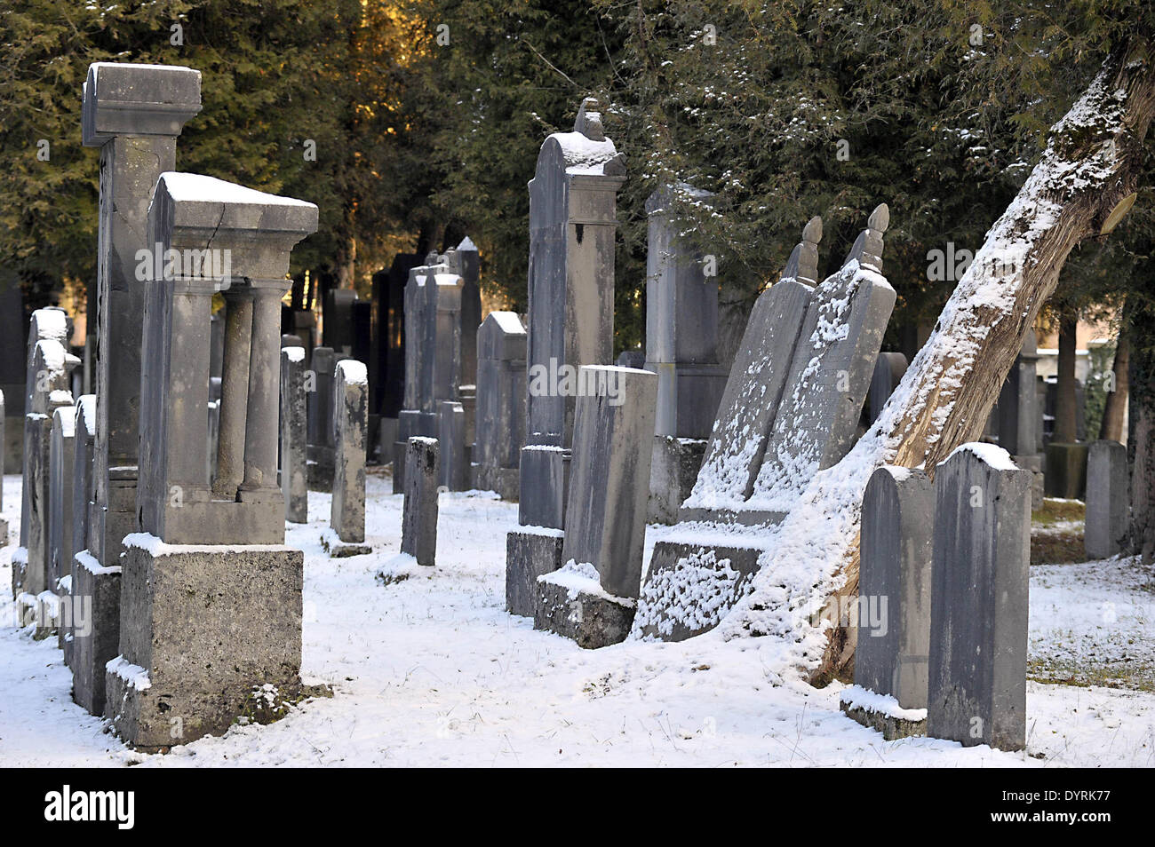 Old Jewish cemetery in Munich, 2011 Stock Photo - Alamy