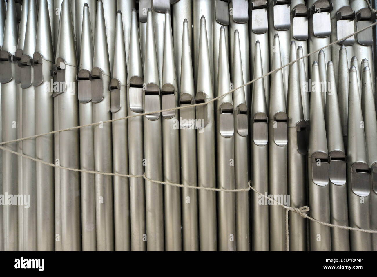 White rose resistance hi-res stock photography and images - Alamy