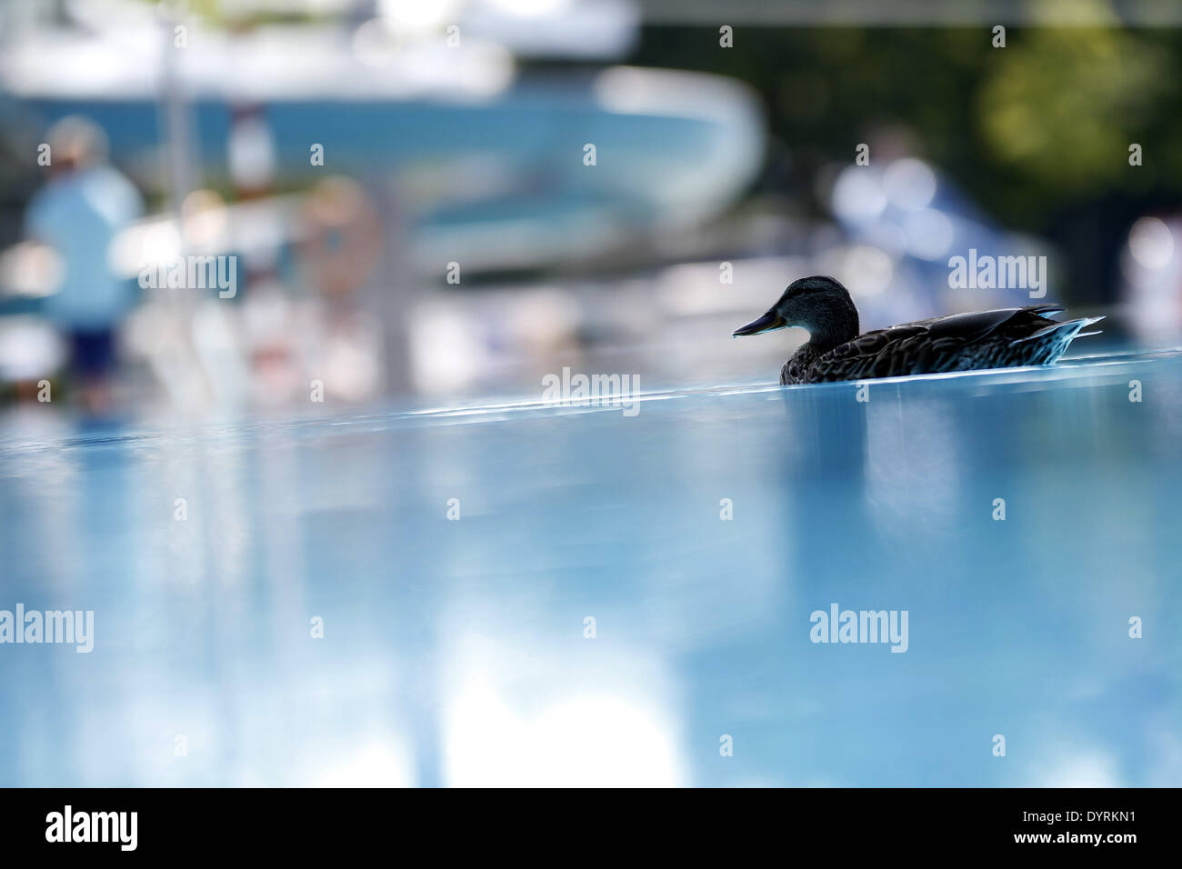 Michaelibad hi-res stock photography and images - Alamy