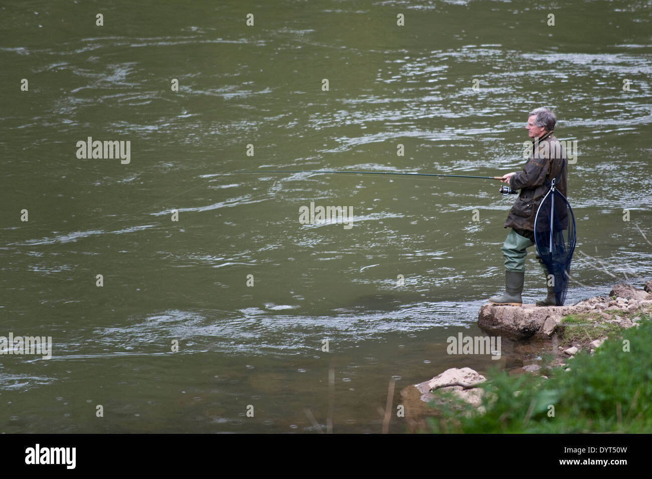 Angler spinning for salmon fishing from the riverbank on River Wye at ...