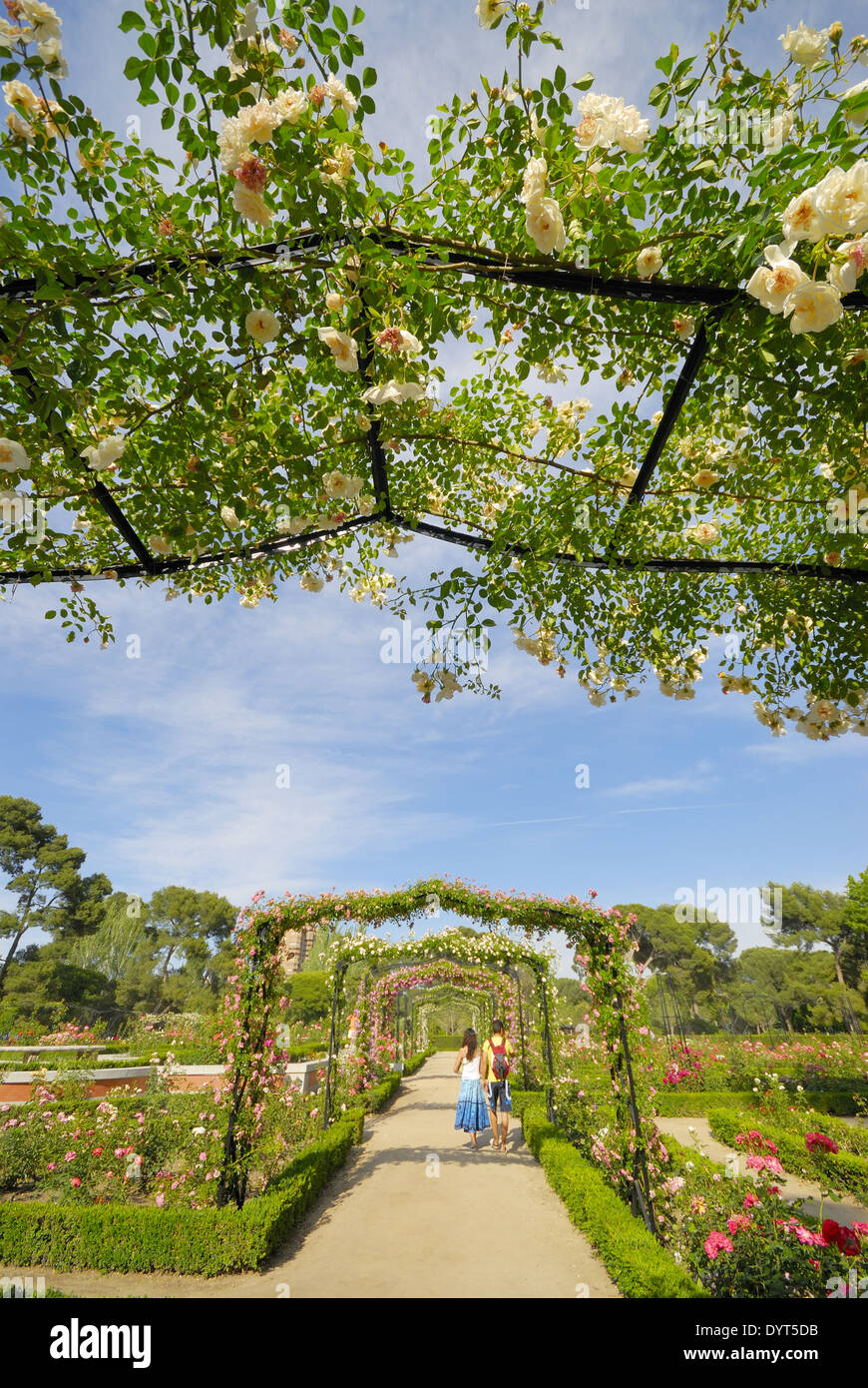 Rose Garden In Spanish at Mark Dunning blog