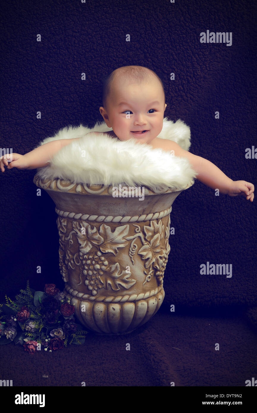 Baby in the vase Stock Photo - Alamy