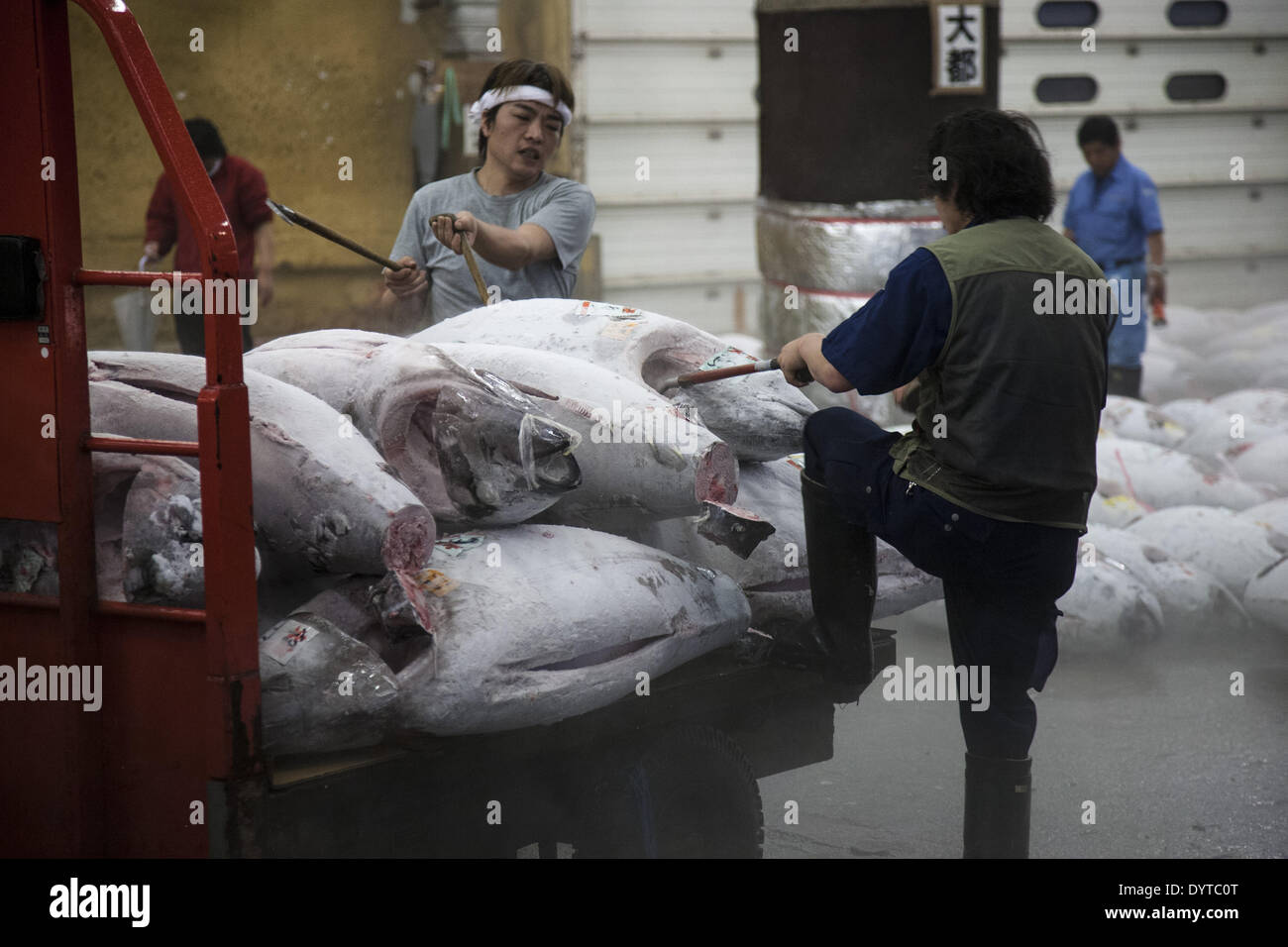 Workers transport tuna fish at Tsukiji market in Tokyo Stock Photo - Alamy