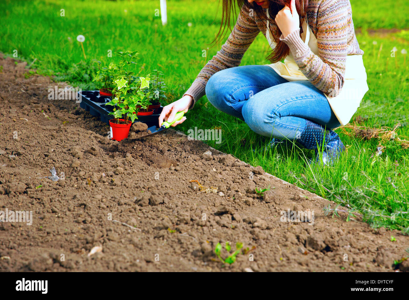Woman planting flowers in the garden Stock Photo - Alamy