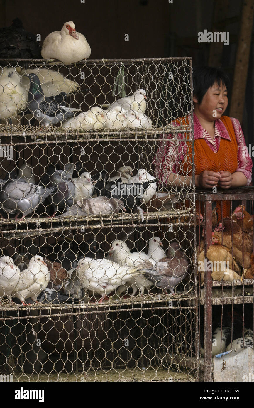 A street vendor sell live chicken Stock Photo - Alamy