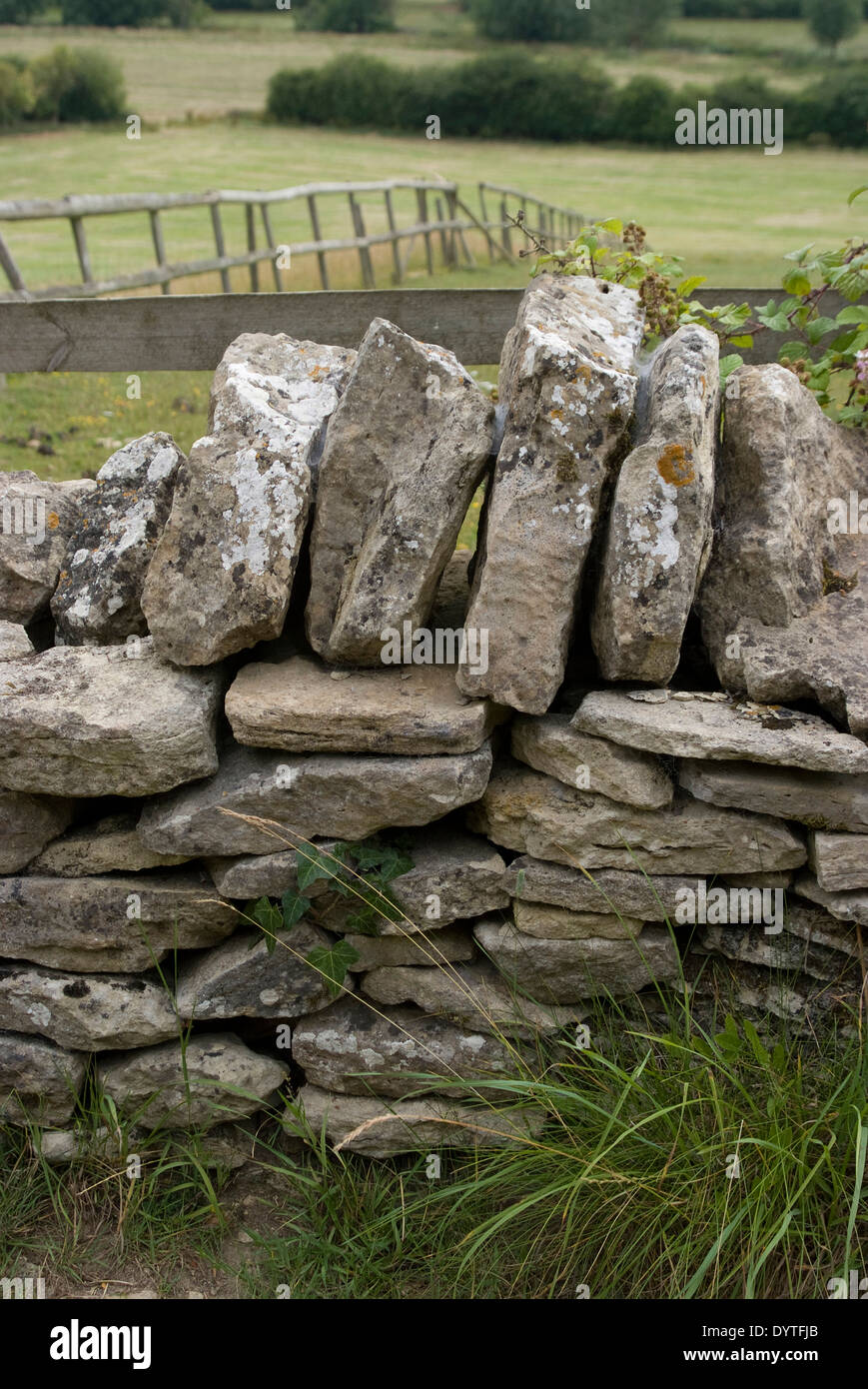 Dry stone wall near North Leigh Roman villa, the remains of a manor ...