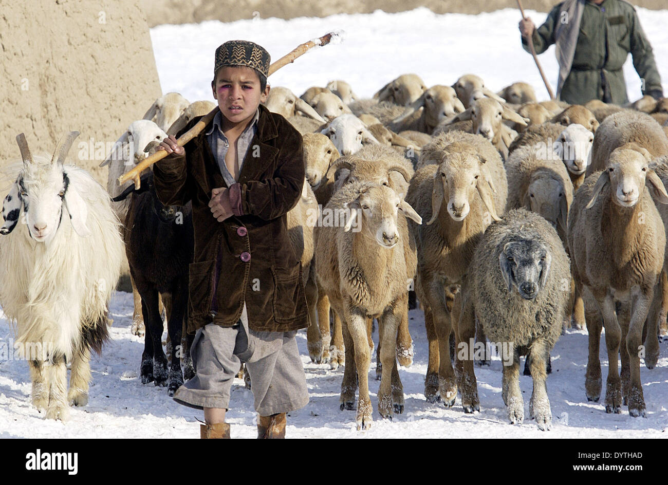 Children shepherd hi-res stock photography and images - Alamy