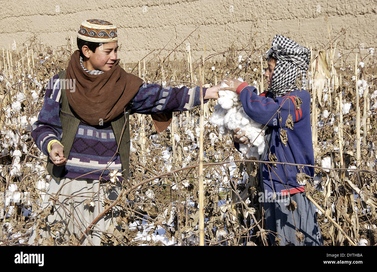Child Labour In Afghanistan High Resolution Stock Photography and ...