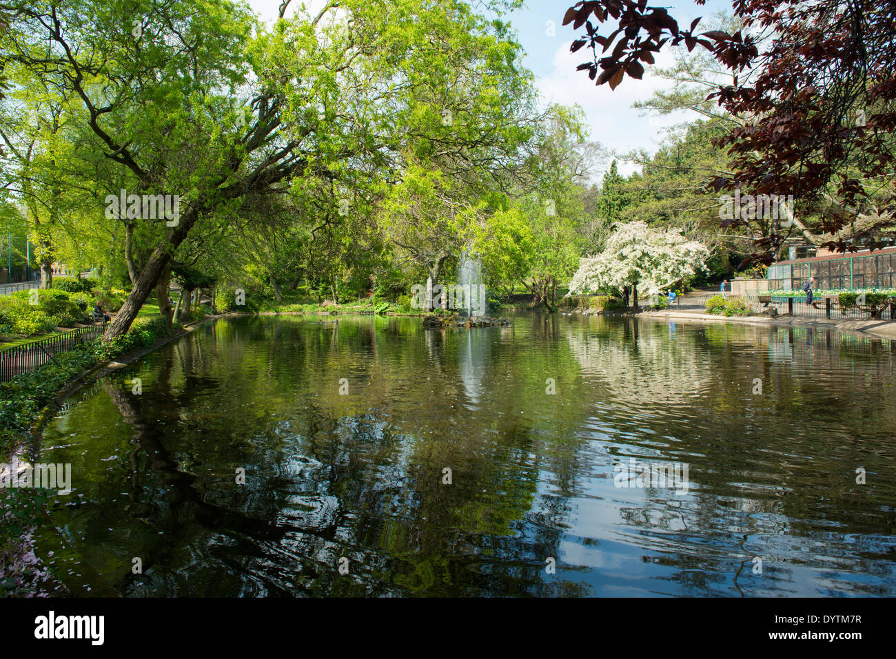The Arboretum Park, Nottingham City Nottinghamshire England UK Stock ...
