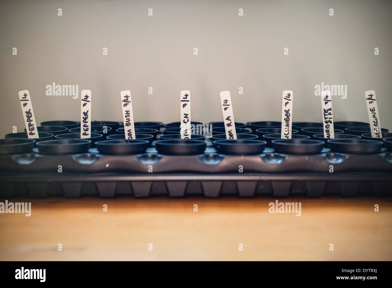 Germinating seeds hi-res stock photography and images - Alamy