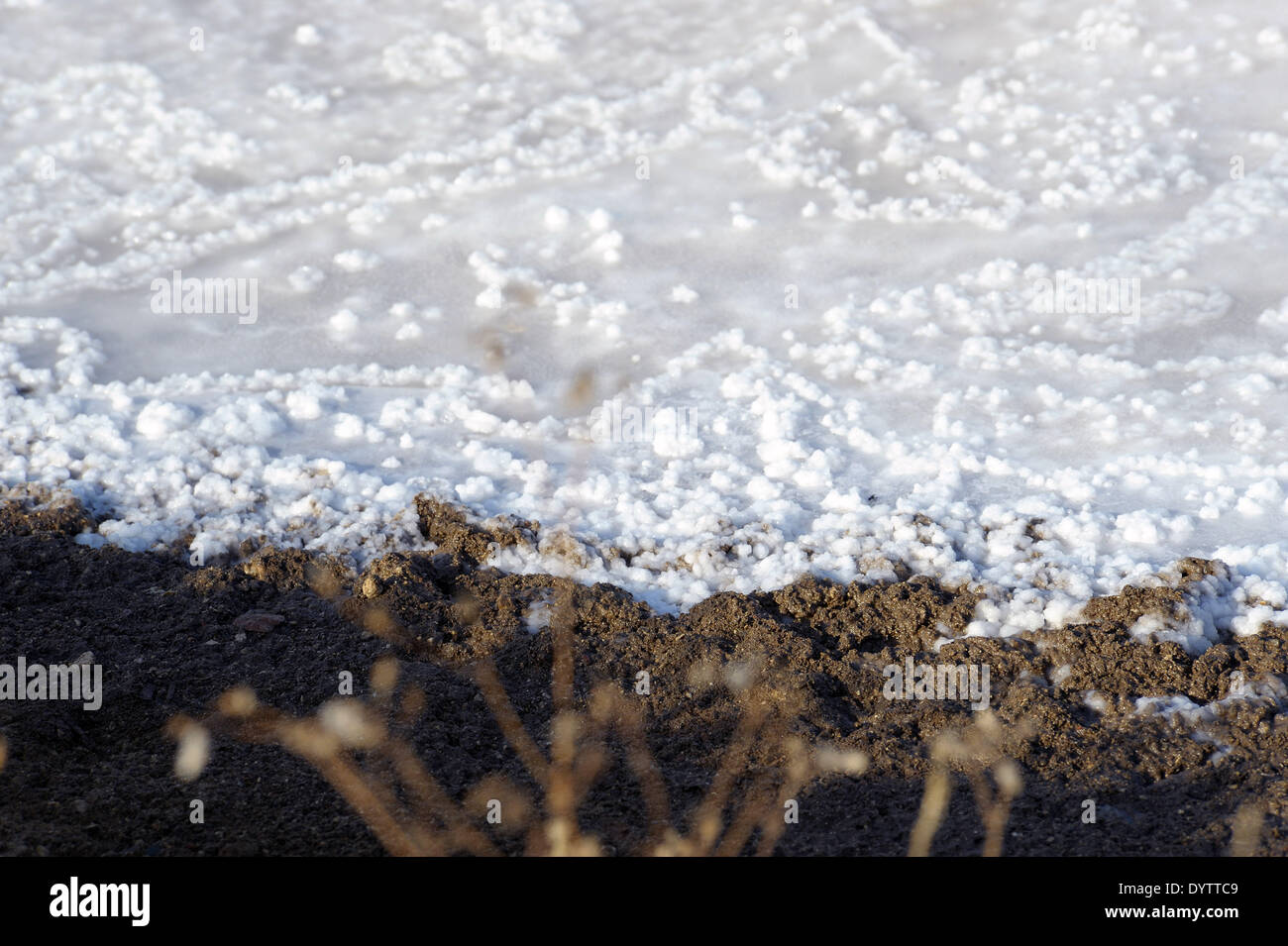 Salt comes from hi-res stock photography and images - Alamy