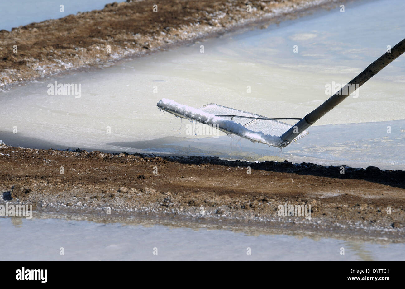 Salt comes from hi-res stock photography and images - Alamy