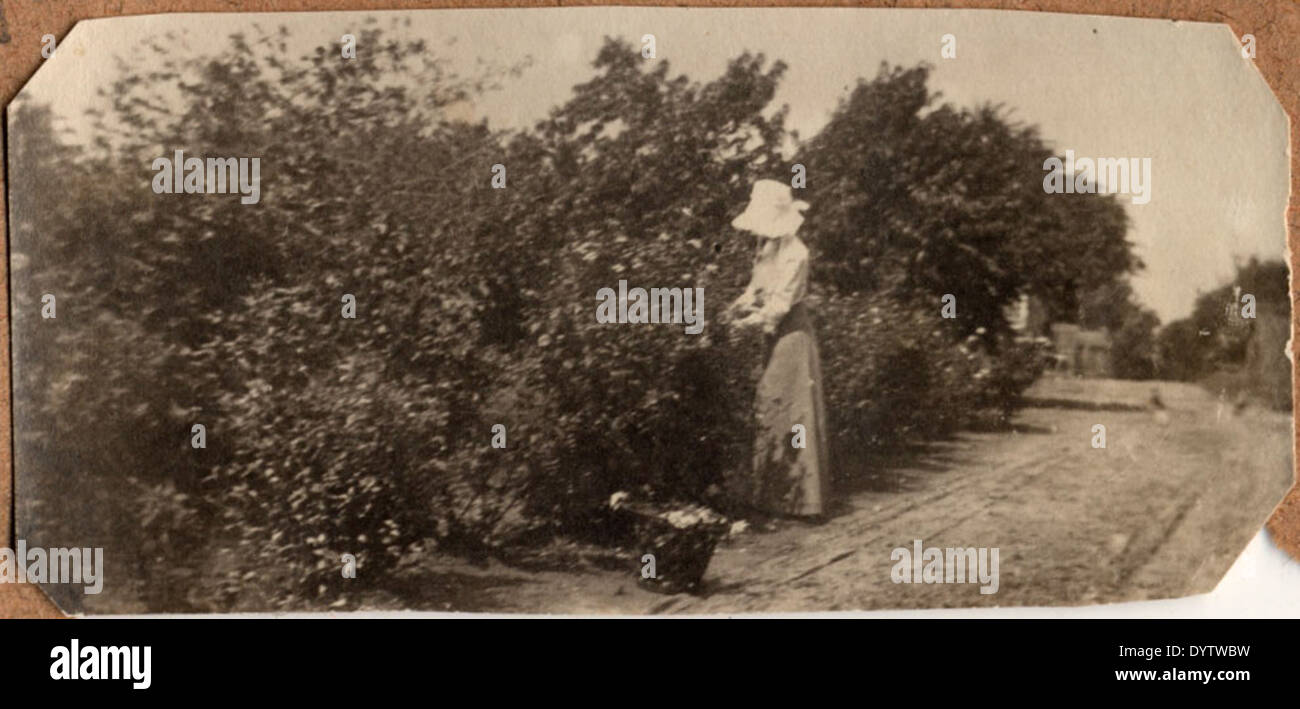 The Samuel Bell Maxey Collection, consisting of various historical ...