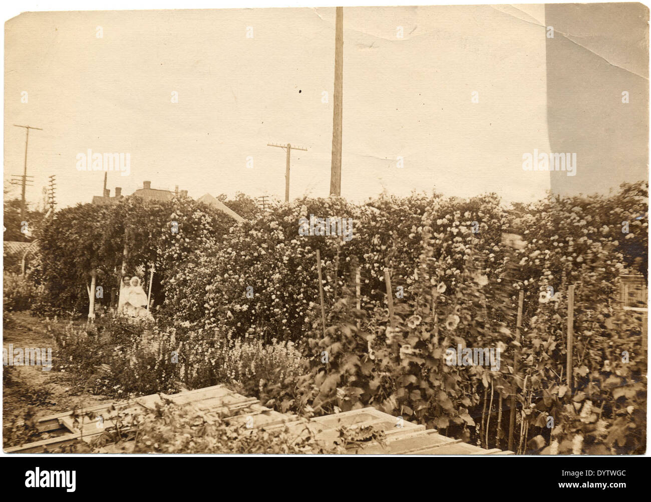 The Samuel Bell Maxey Collection includes various items related to ...