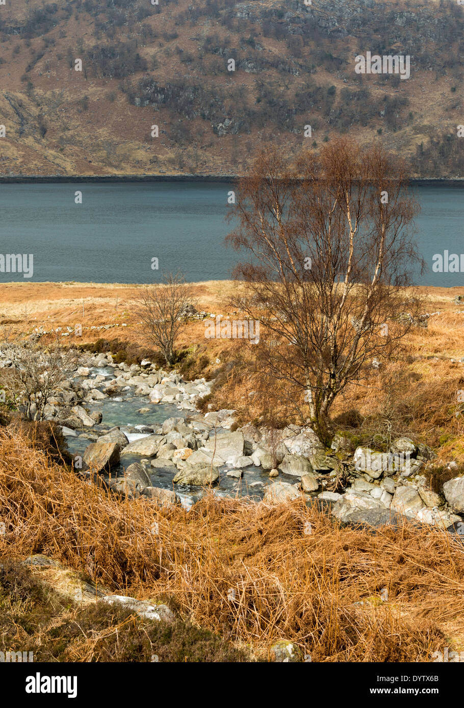 Mountain stream snow melt water hi-res stock photography and images - Alamy