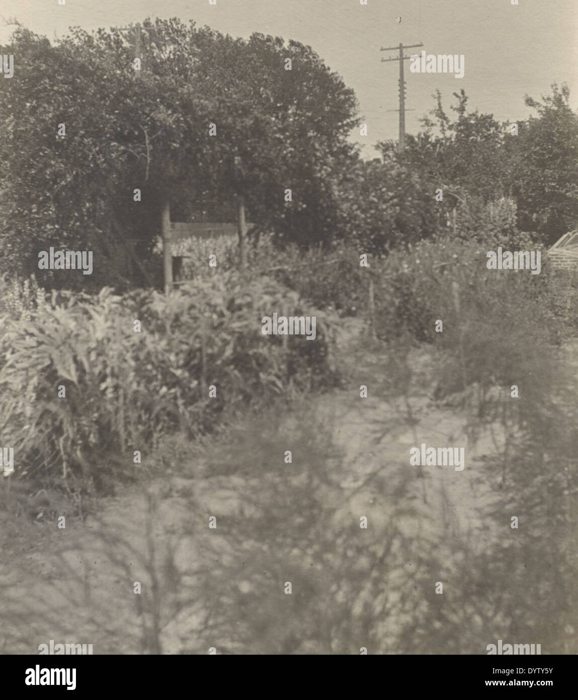 This item from the Samuel Bell Maxey Collection represents a piece of ...