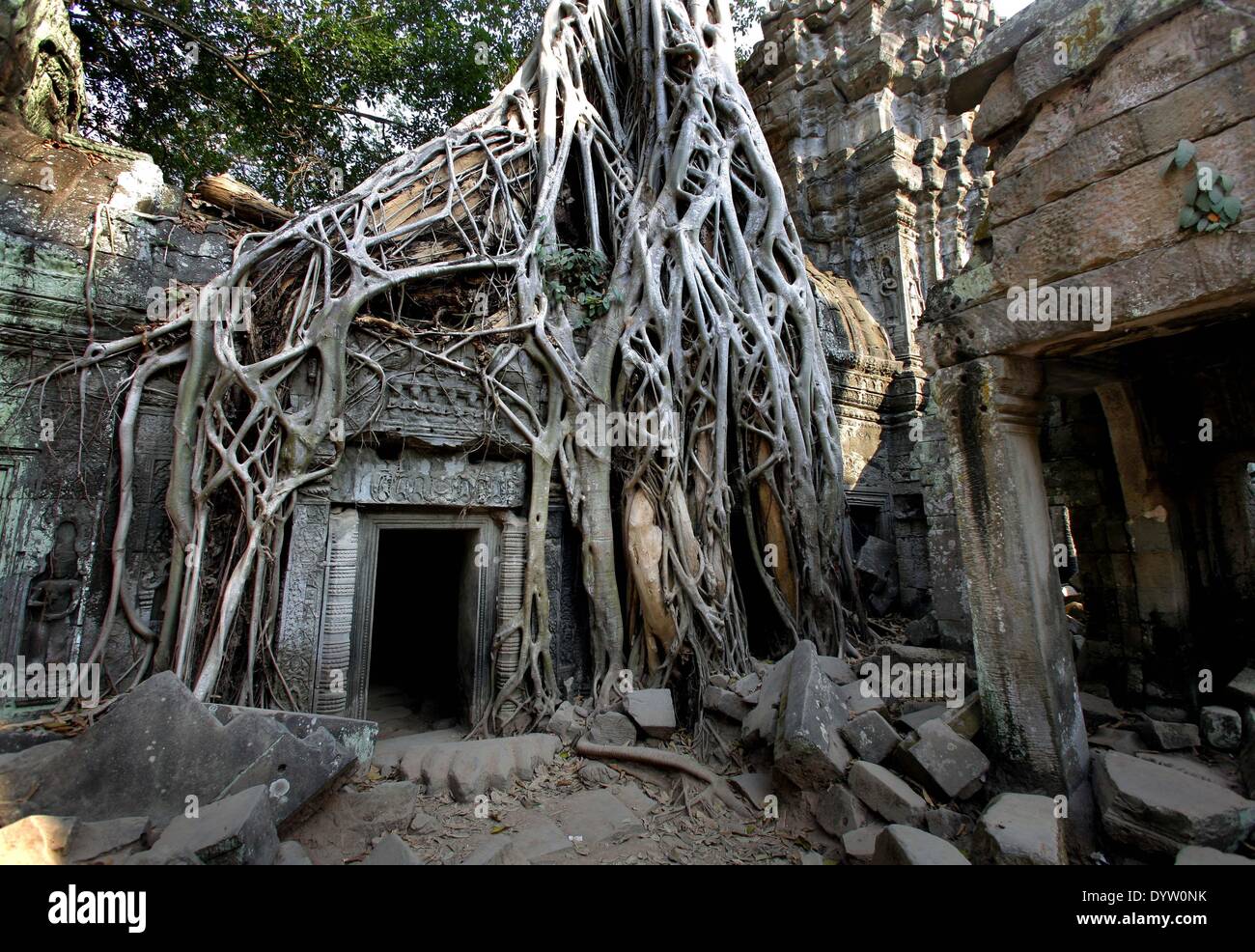 24 07 2000 hi-res stock photography and images - Alamy