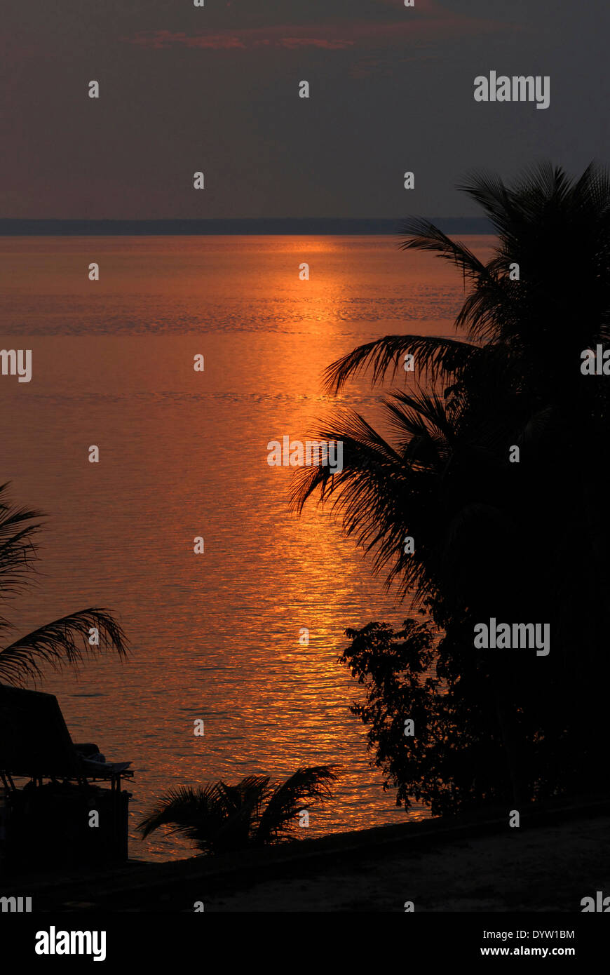 Amazon river manaus hi-res stock photography and images - Alamy