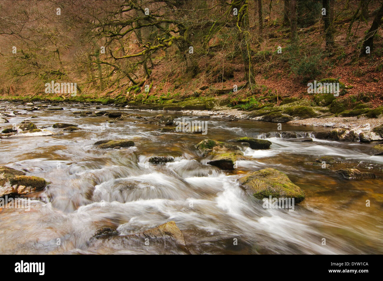 The river Lyn Stock Photo - Alamy