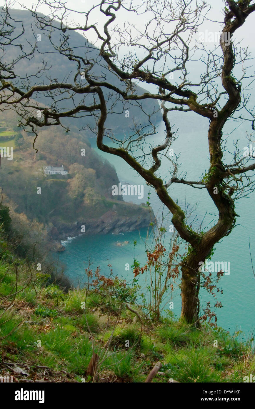The cliffs near Lynmouth Stock Photo - Alamy