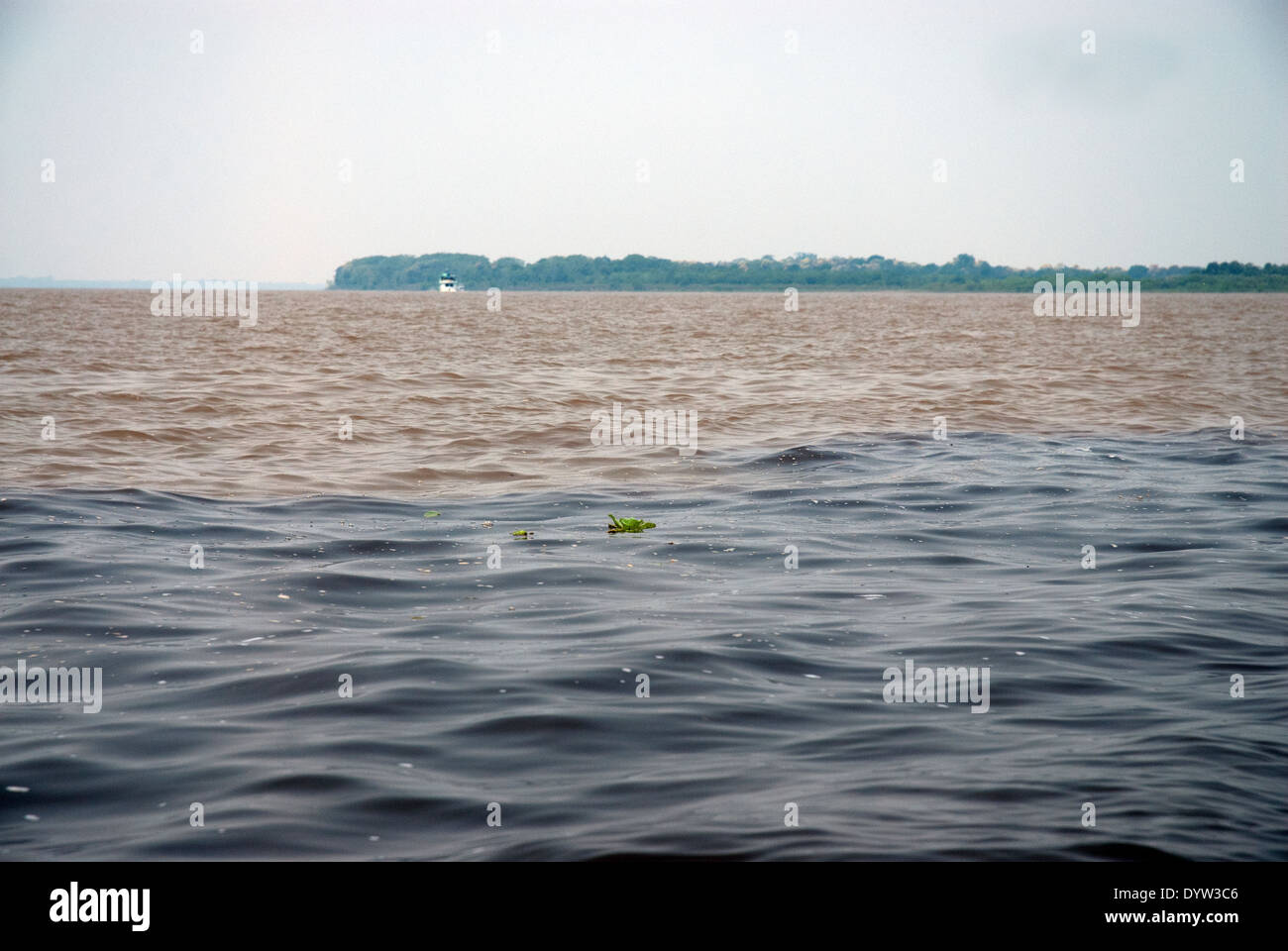 The meeting of the waters near Manaus, Brazil, where the dark water of ...