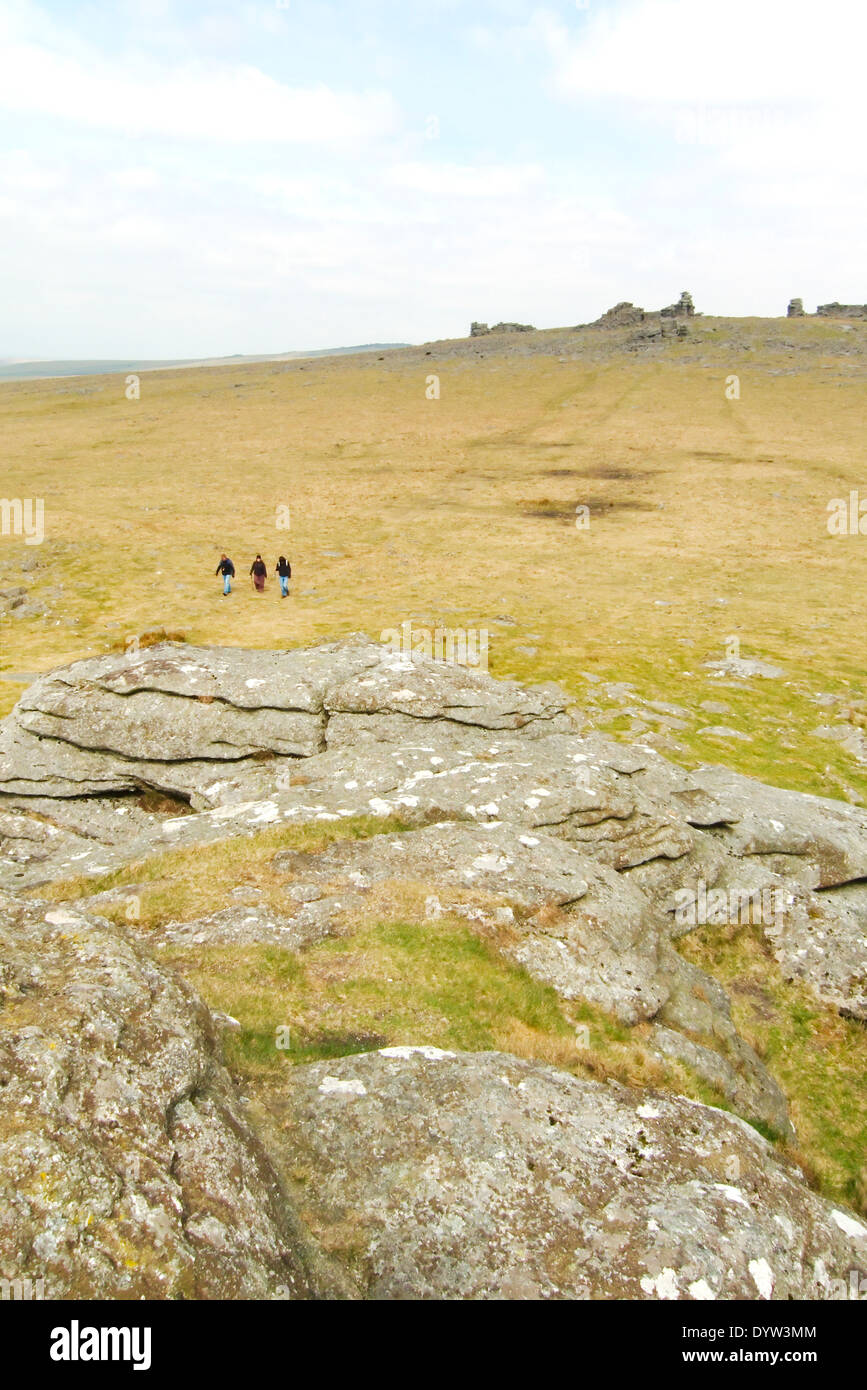 Dartmoor tor pony hi-res stock photography and images - Alamy