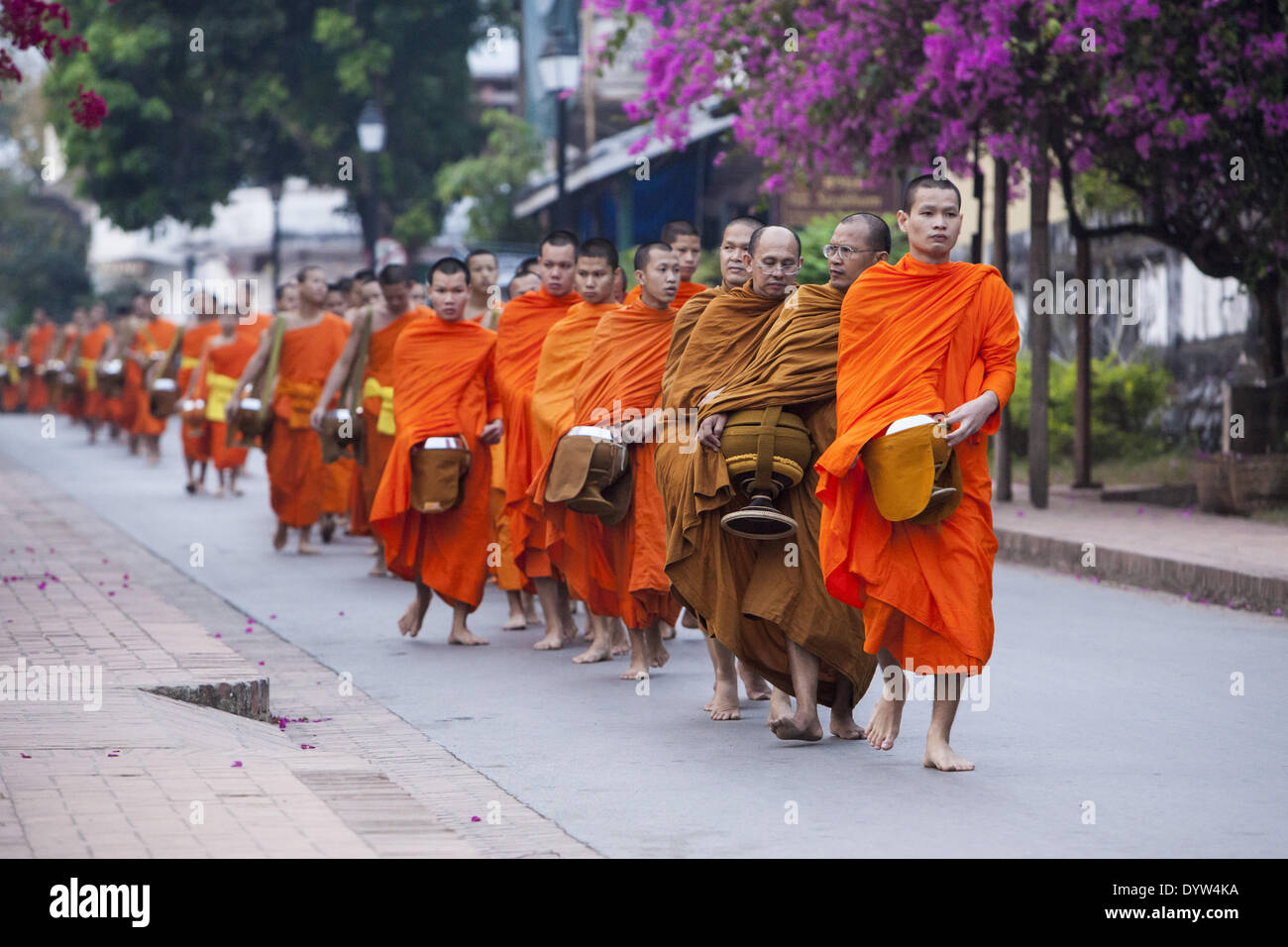 Monks walk in group to collect alms in early morning Stock Photo - Alamy
