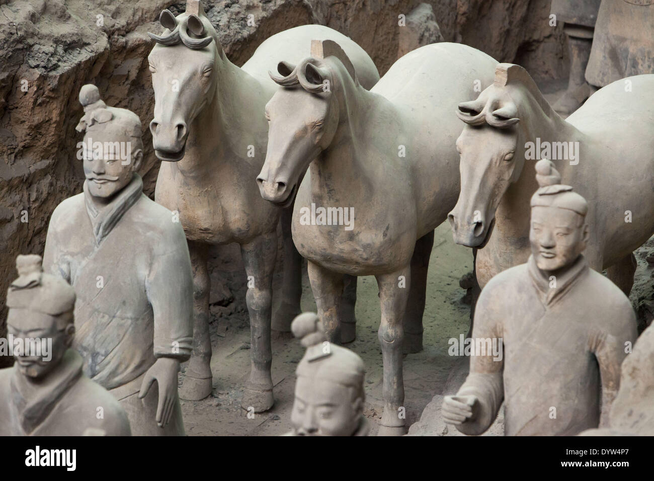 Terracotta army soldiers are display at a museum Stock Photo - Alamy
