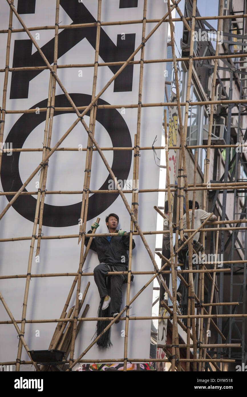 Spider Climber Scaffolding