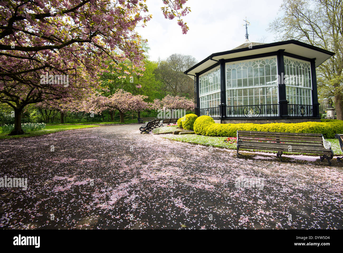 Blossom stand hi-res stock photography and images - Alamy