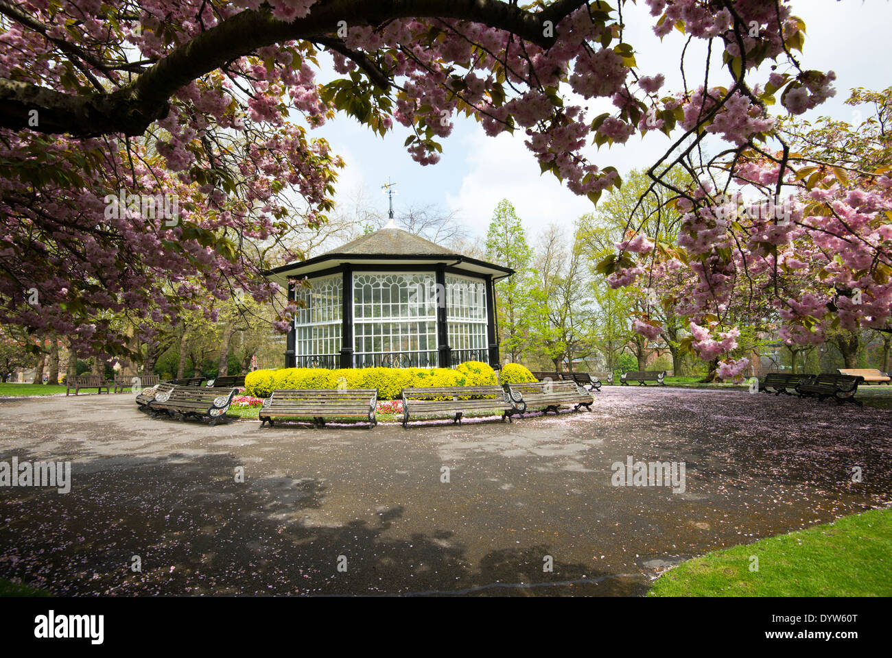 Spring blossom at the Bandstand, Nottingham Castle Nottinghamshire ...
