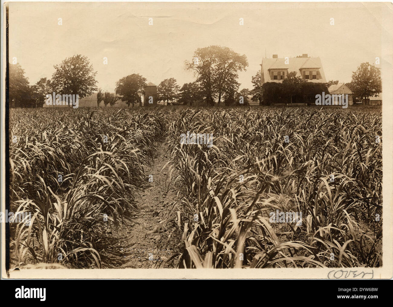 The Samuel Bell Maxey Collection of 1981 consists of historical ...