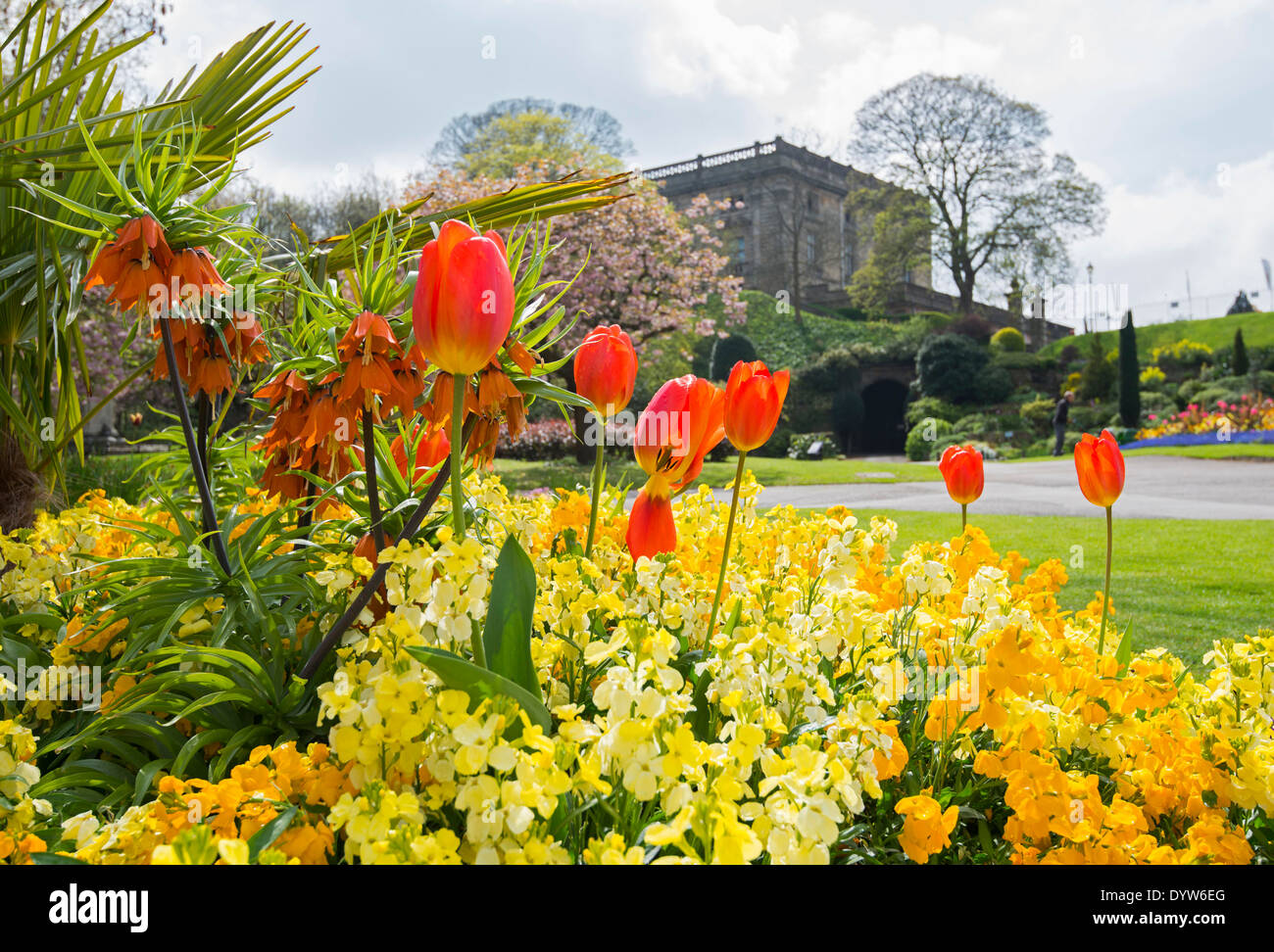 Spring flowers at Nottingham Castle, Nottinghamshire England UK Stock ...