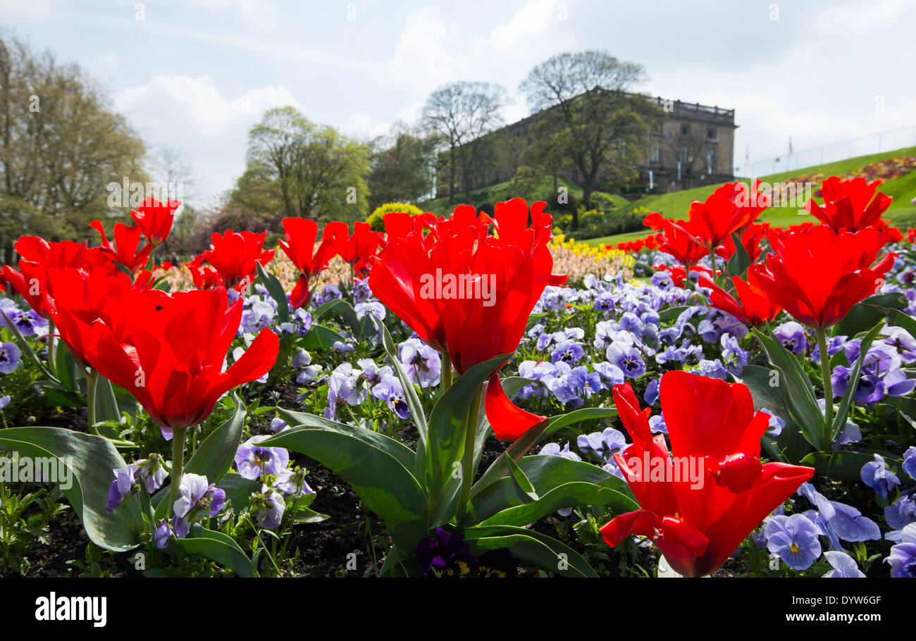 Spring flowers at Nottingham Castle, Nottinghamshire England UK Stock ...