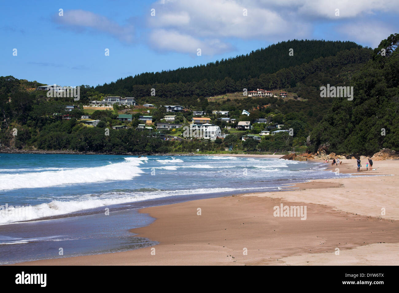Hahei Beach, New Zealand Stock Photo - Alamy