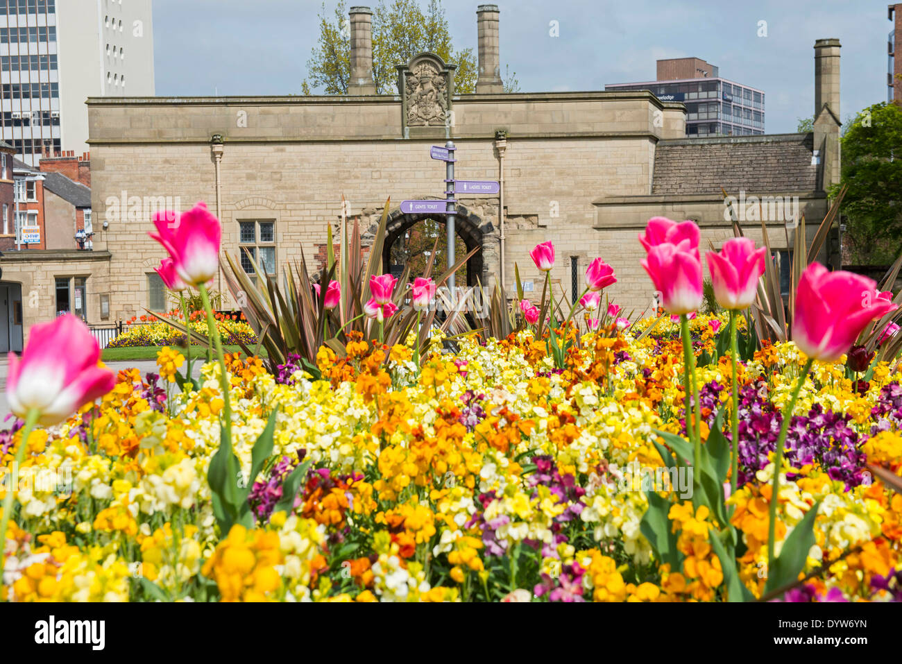 Spring flower beds at Nottingham Castle, Nottinghamshire England UK ...