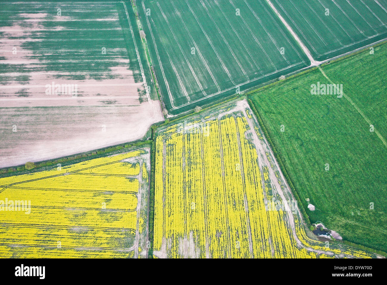 Aerial view of crop fields in England Stock Photo - Alamy