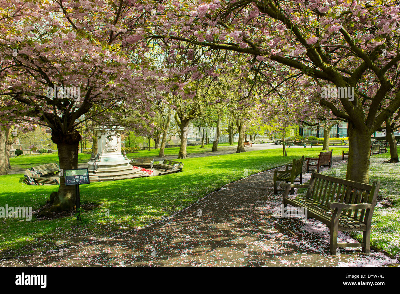 Spring blossom at Nottingham Castle, Nottinghamshire England UK Stock ...