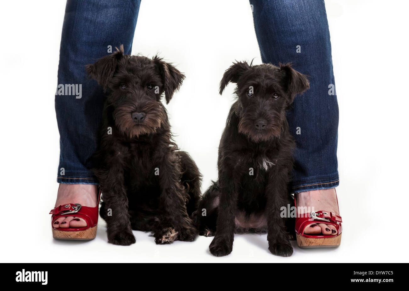 Between legs woman hi-res stock photography and images - Alamy