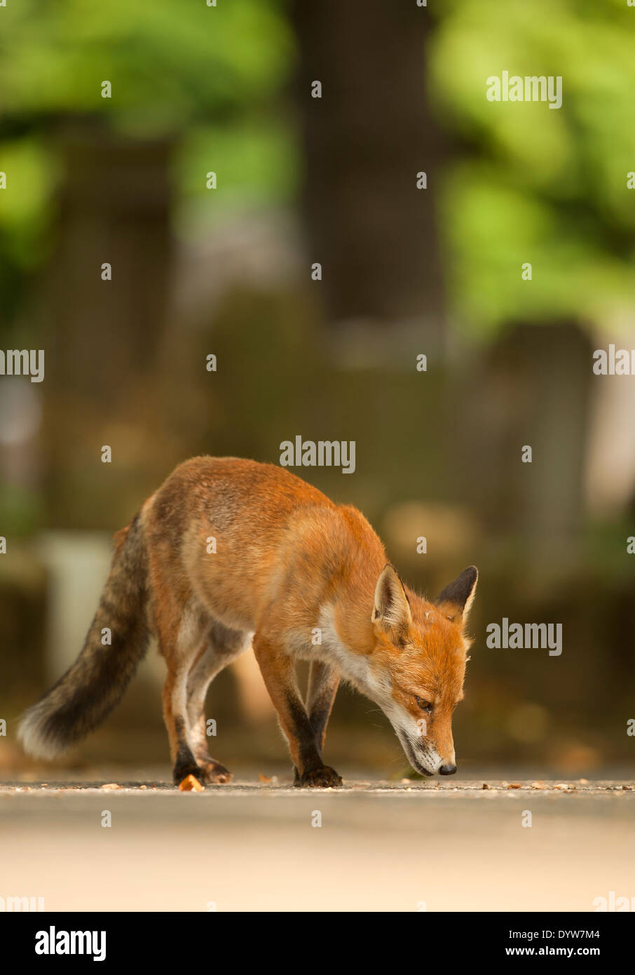 London towns hi-res stock photography and images - Alamy