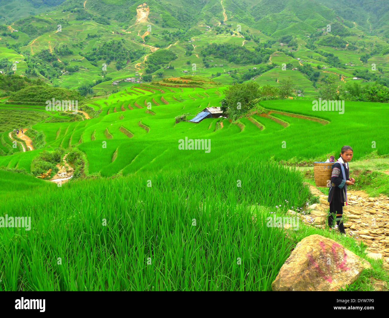 Young Black Hmong girl close to rice fields at Sa Pa Stock Photo - Alamy