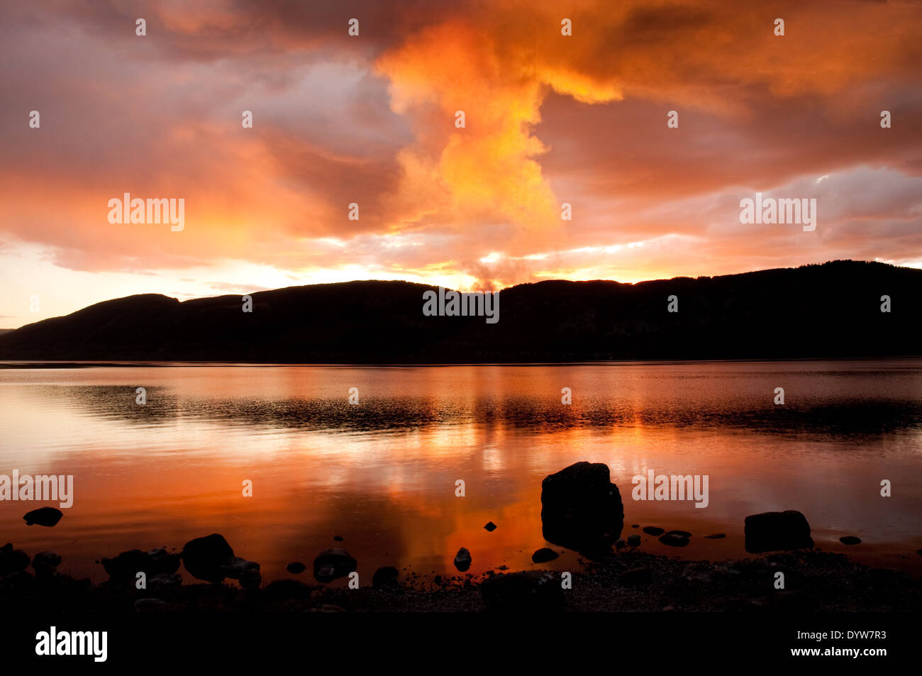 Forest Fire at sunset over Loch Ness Stock Photo - Alamy
