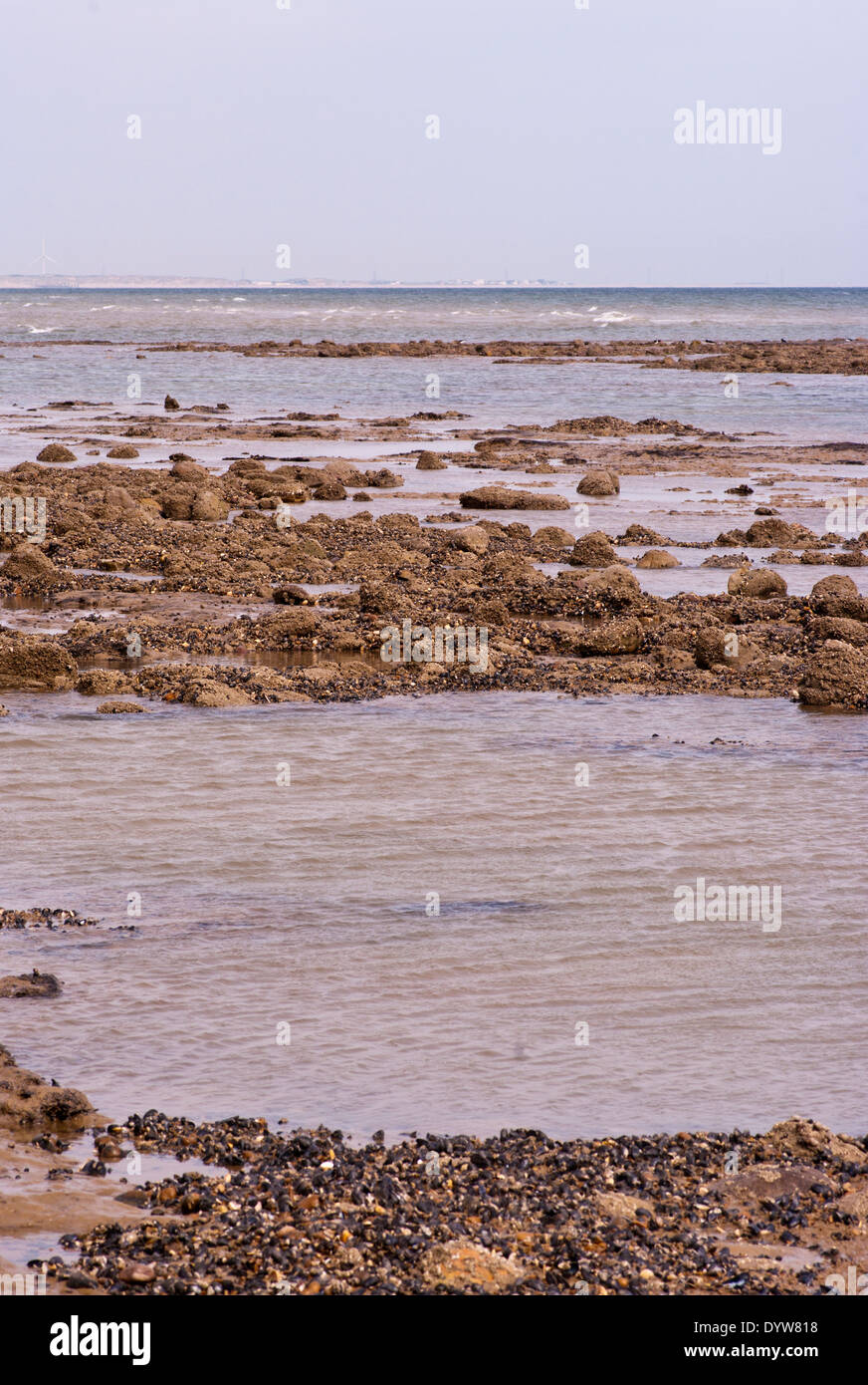 Rockpools hi-res stock photography and images - Alamy