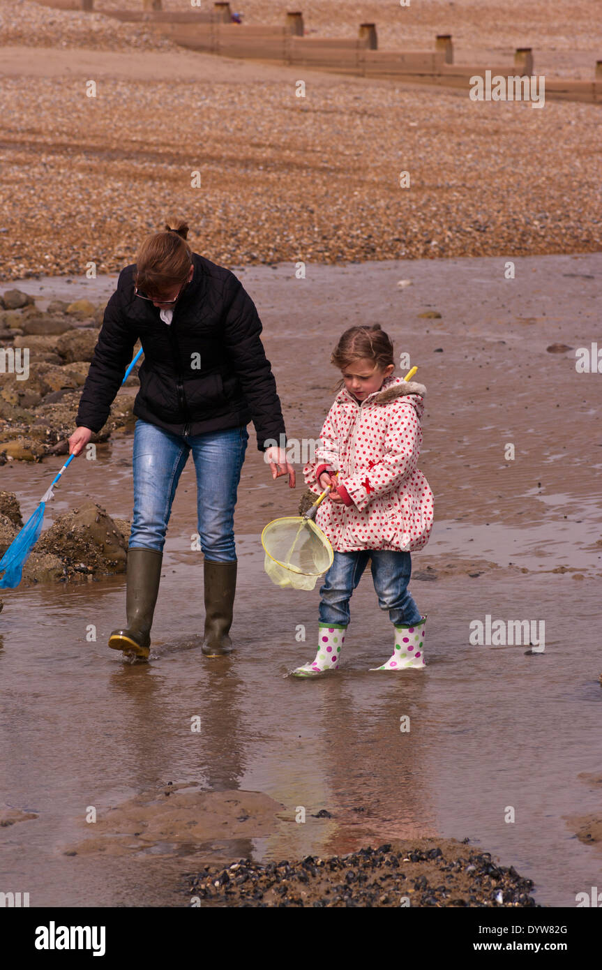 Mother and Daughter Rockpool Fishing Stock Photo - Alamy