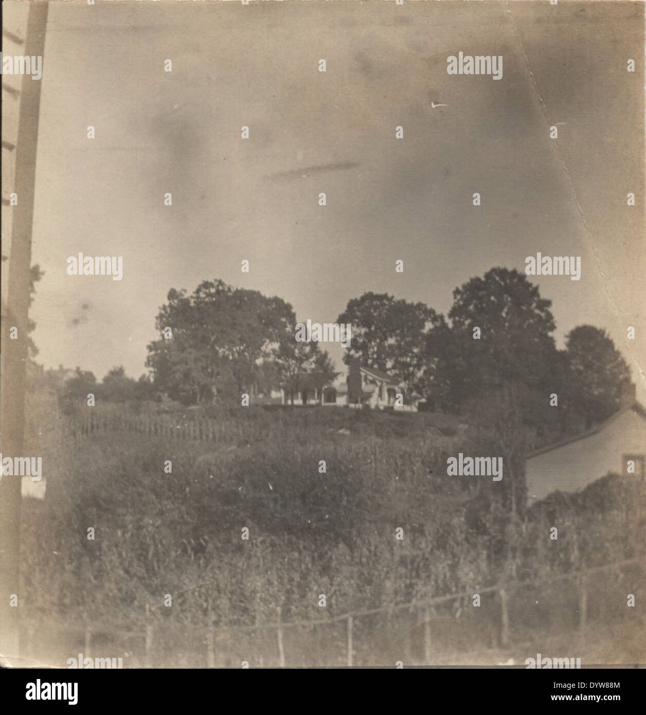 This photograph is part of the Samuel Bell Maxey collection from 1981 ...