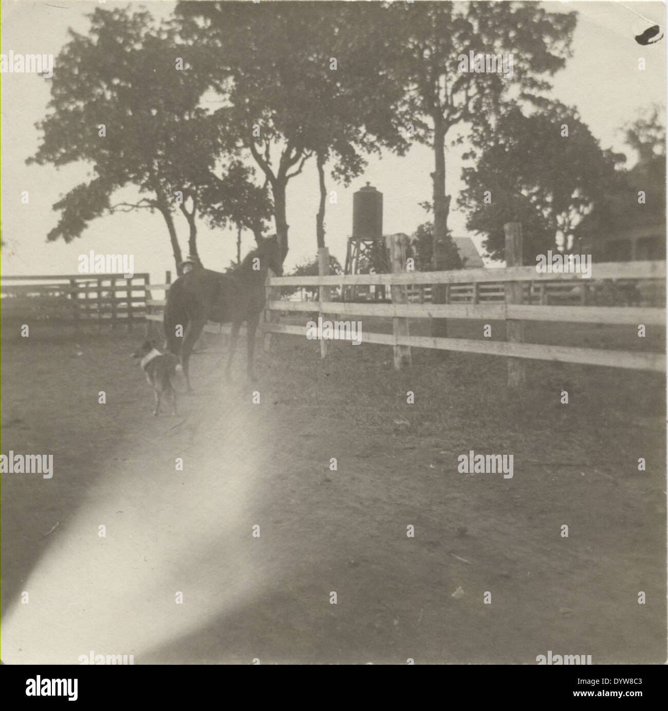 The Samuel Bell Maxey Collection, housed at a museum, showcases ...