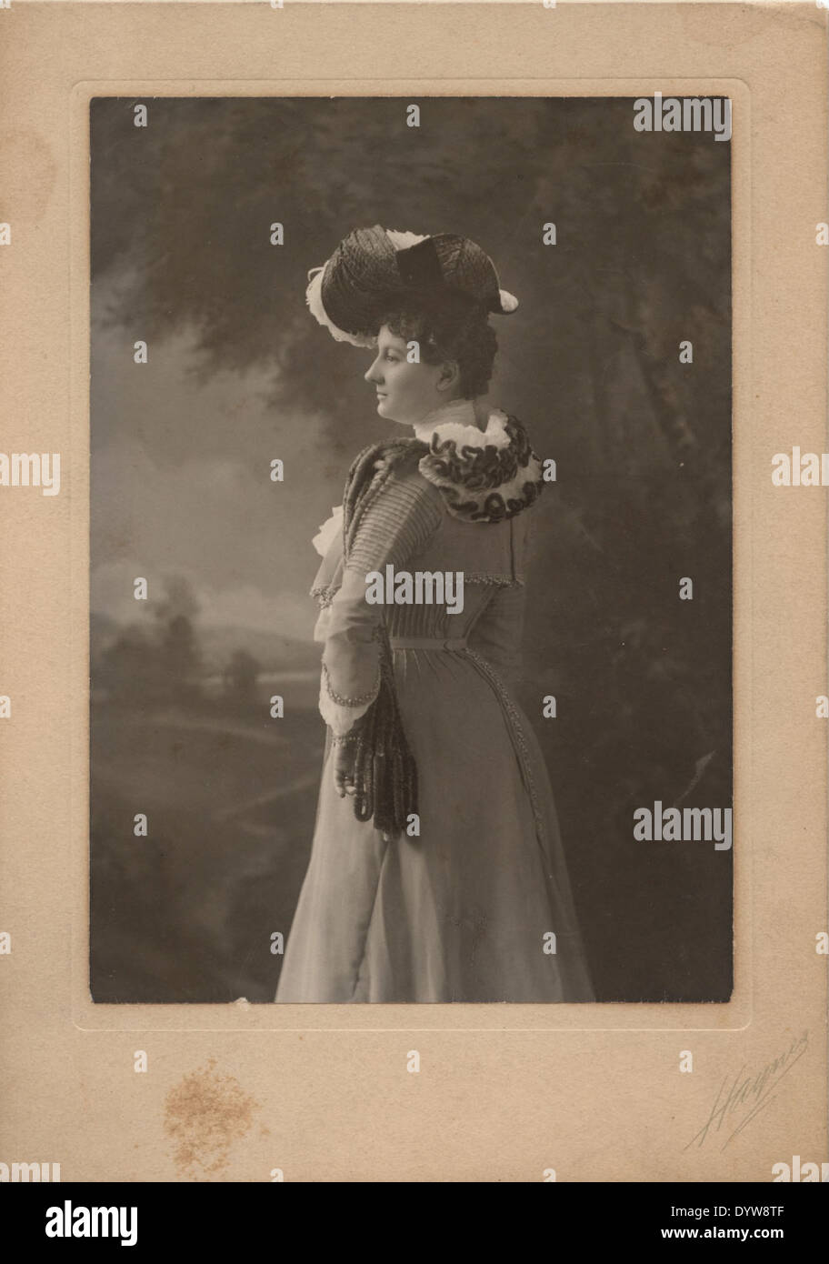 Texas state historical association hi-res stock photography and images ...